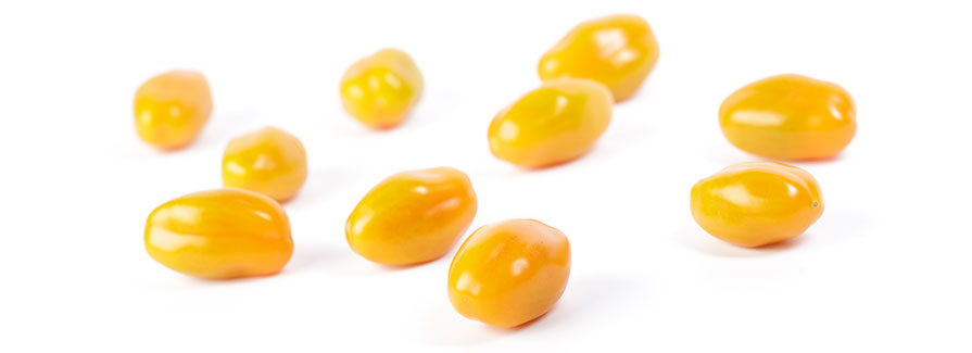 Farbini RZ F1, obetat