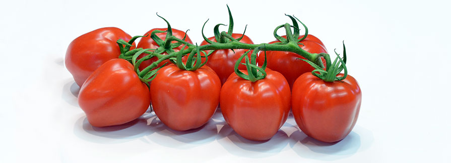 Papeletto RZ F1, obetat