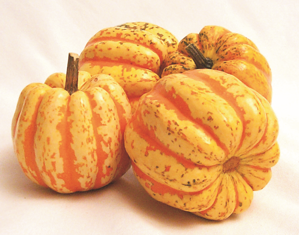 Prydnadspumpa - separata färger