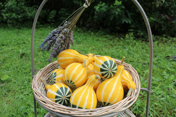 Prydnadspumpa - separata färger