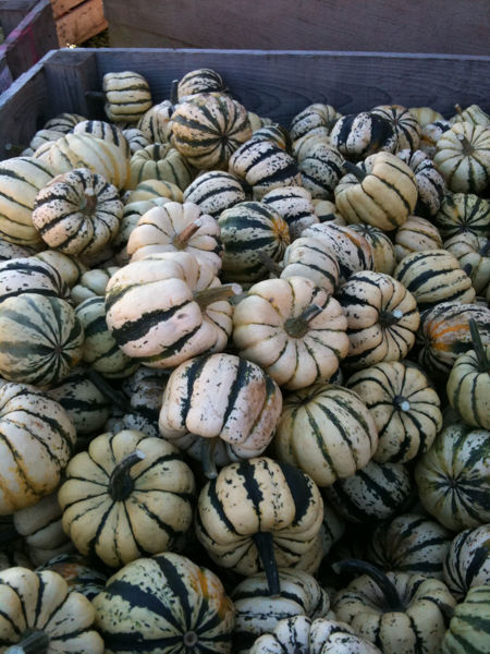 Prydnadspumpa - separata färger