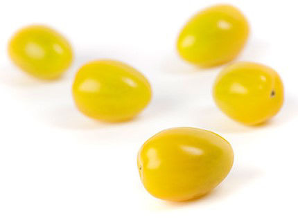 Tomat Maggino RZ F1 GSPP