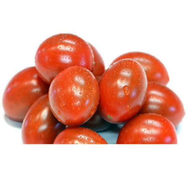 Tomat Solarino RZ F1