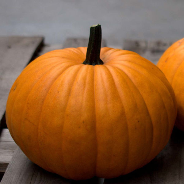 Prydnadspumpa - separata färger