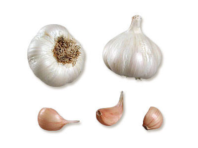 Vitlök Cledor